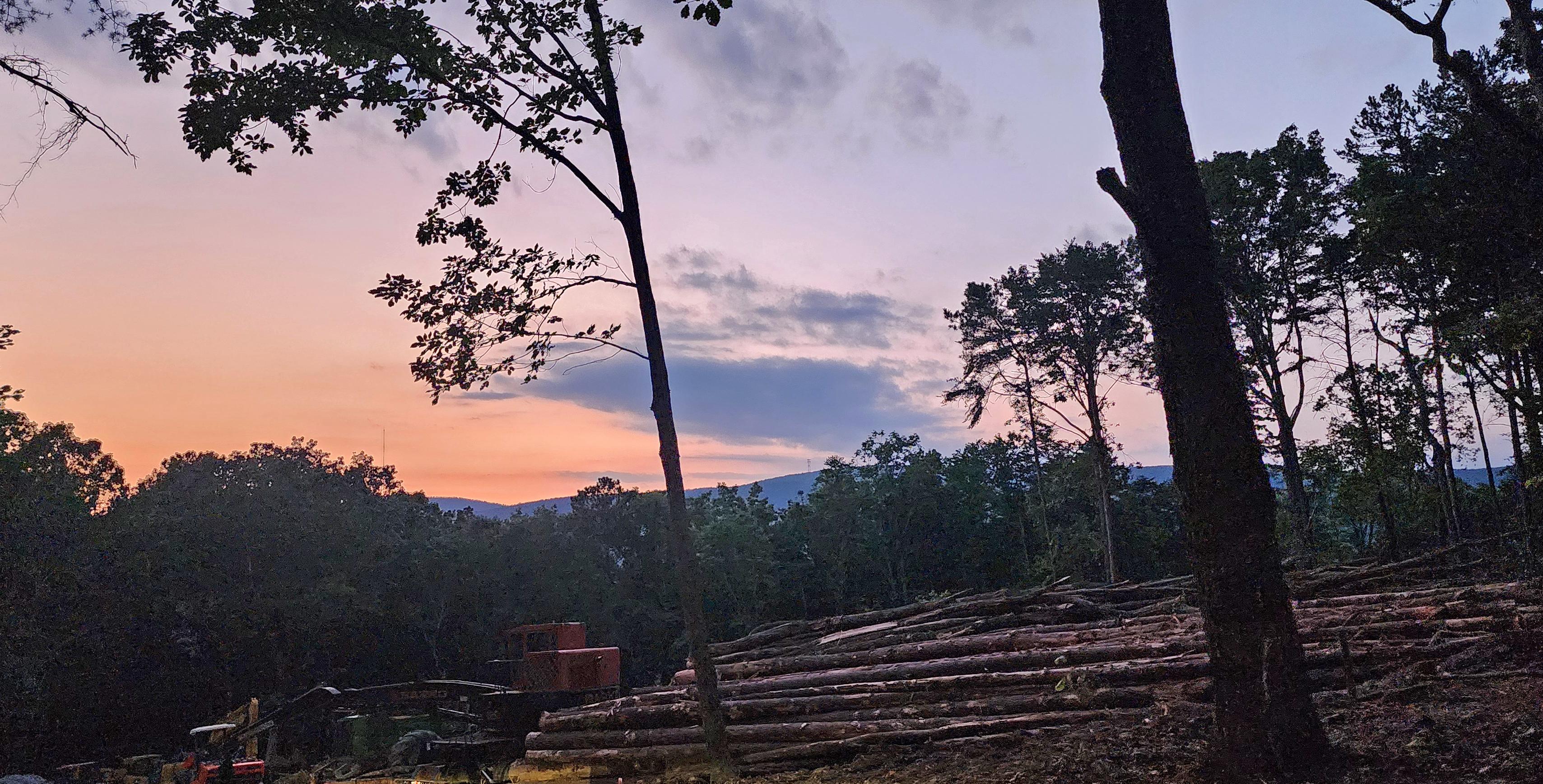 New JW Collection Homesites Are Being Cleared - Lake Arrowhead